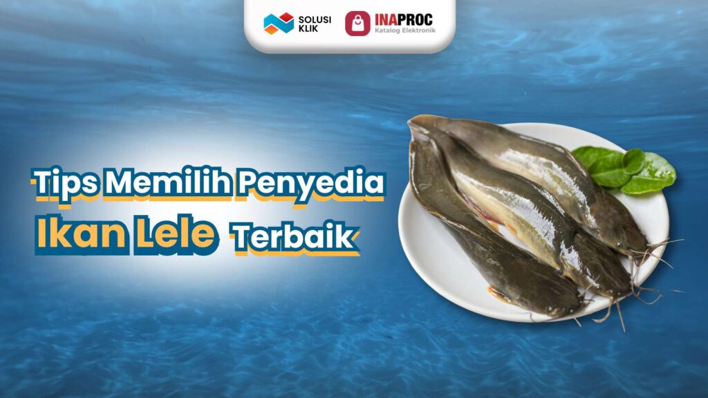 4 Keunggulan Ikan Lele Berkualitas Tinggi